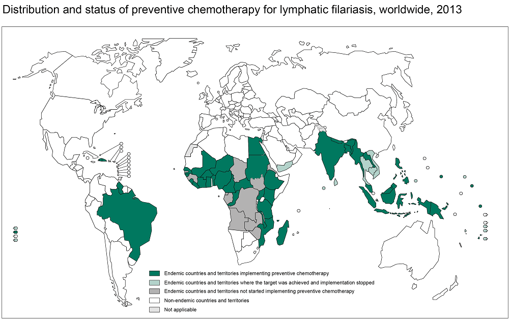 7 Diseases You Get From Mosquito Bites While Travelling